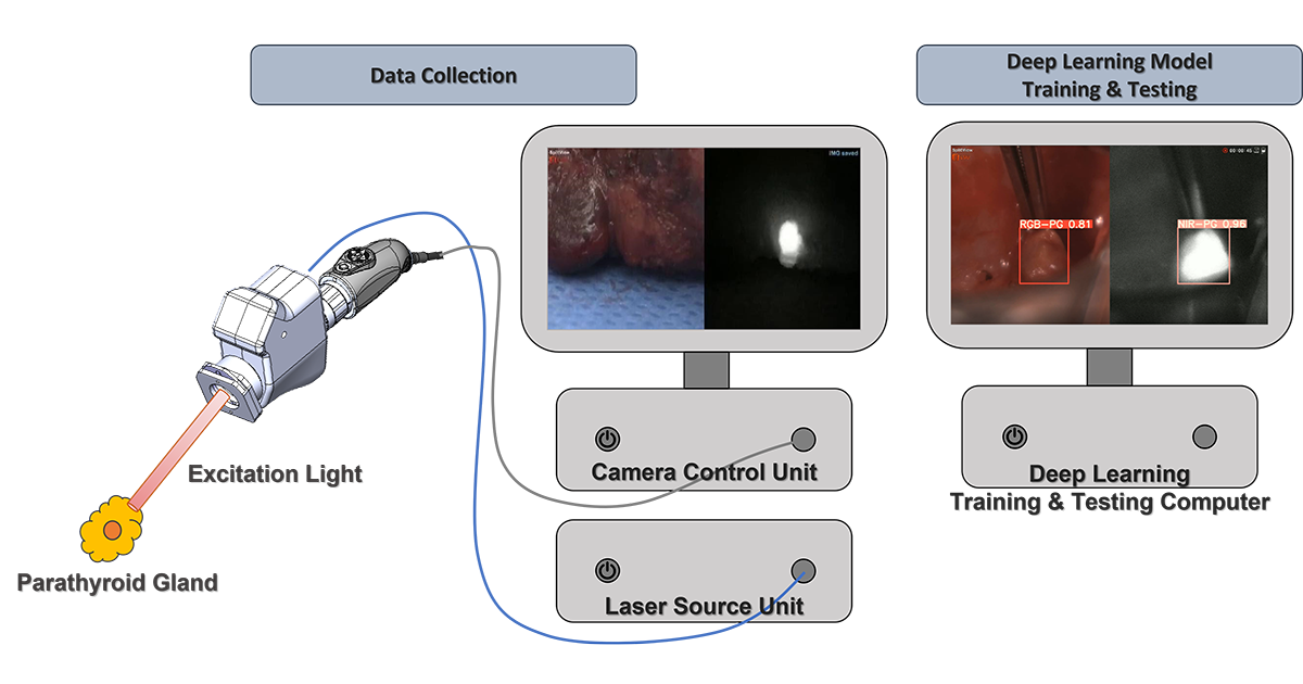 A new imaging device with AI may reduce complications during thyroid ...