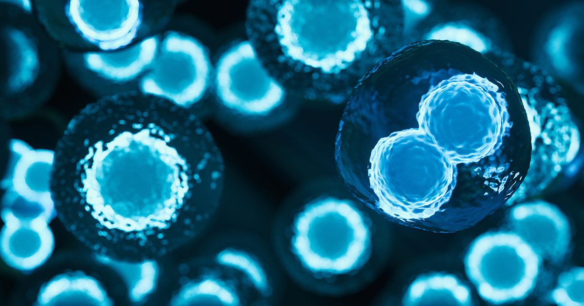 How our BMT program is exceling - Children's National