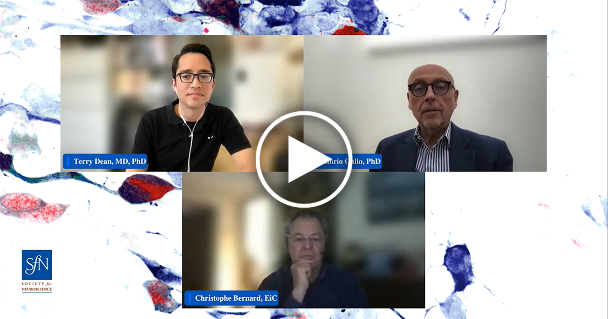 In the News: Regenerative brain cells and the circadian clock ...