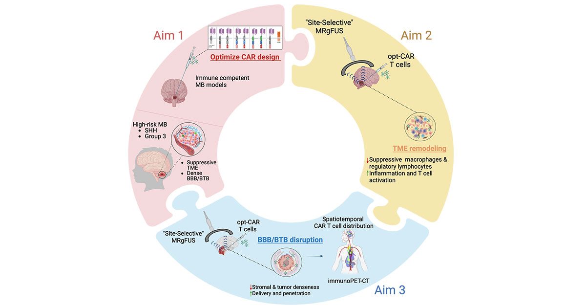 Pentagon awards grant to combine two novel brain tumor therapies ...